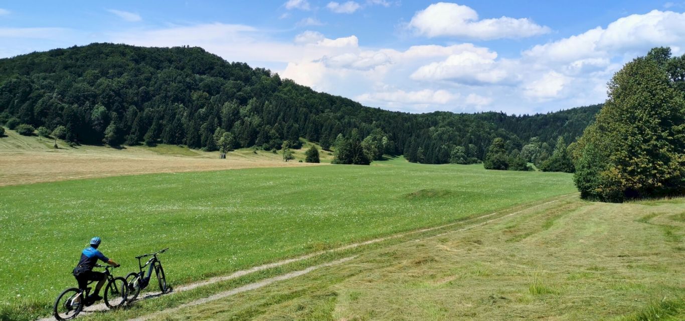 e-bike & adrenalinski park RTC Gače - Bravina Experience Bela krajina